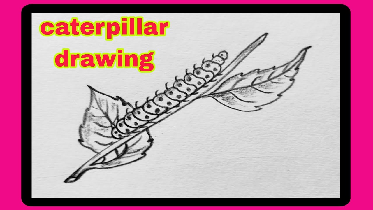how to draw caterpillar //how to make a caterpillar//caterpillar pencil ...