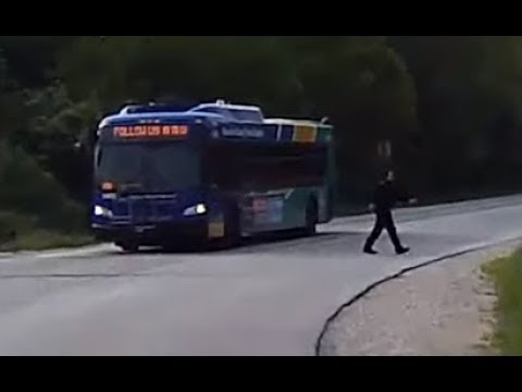 Bus Driver Helps Turtle Cross Milwaukee Road - YouTube