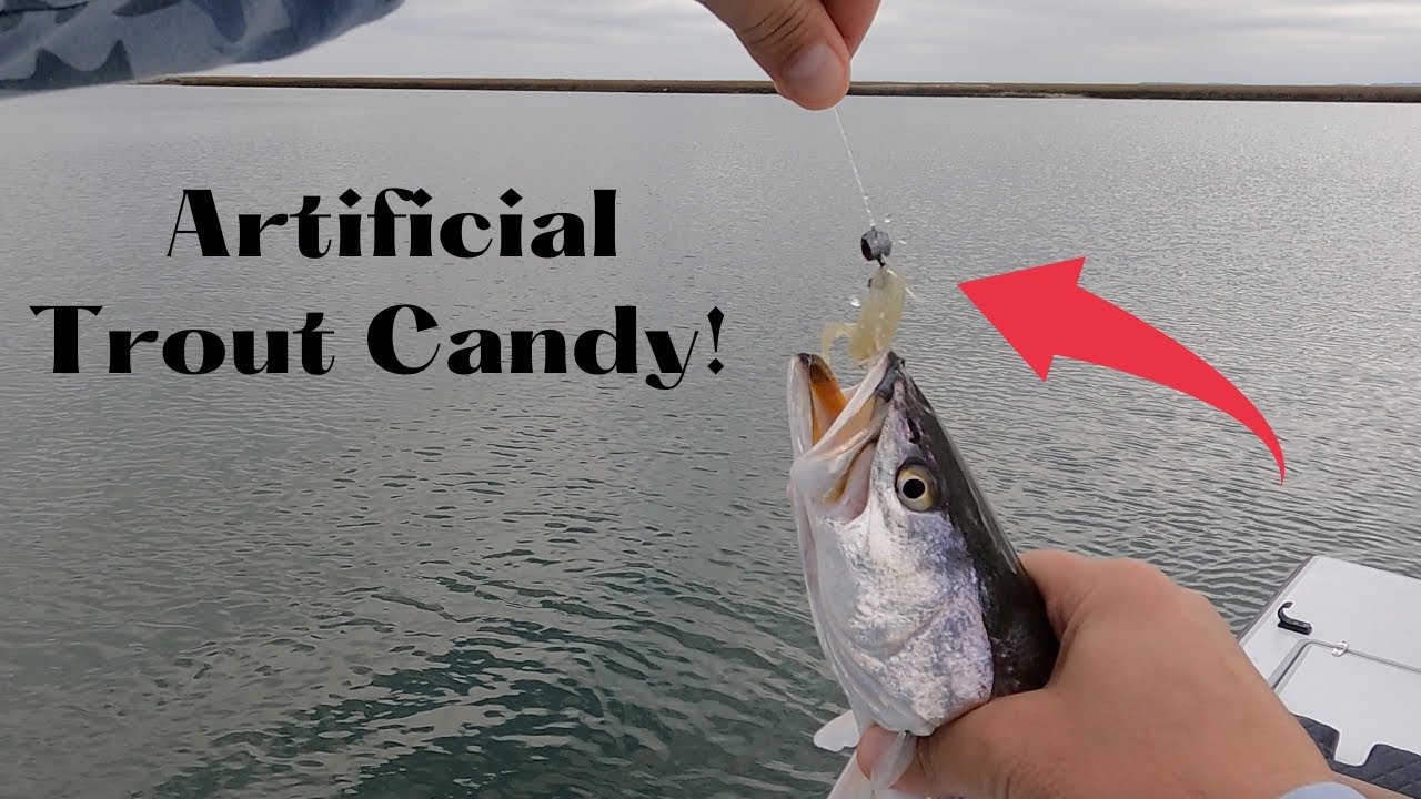 Hot Trout Bite During Late Winter Warming Patterns - YouTube