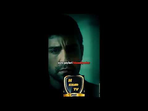 sistem eleştirisi (n_ejder_tv)