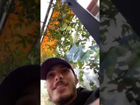 kardeş sözü dinlemeyen abinin hazin sonu