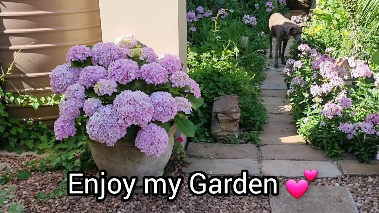 Gardening: The results of weeks of hard work - YouTube