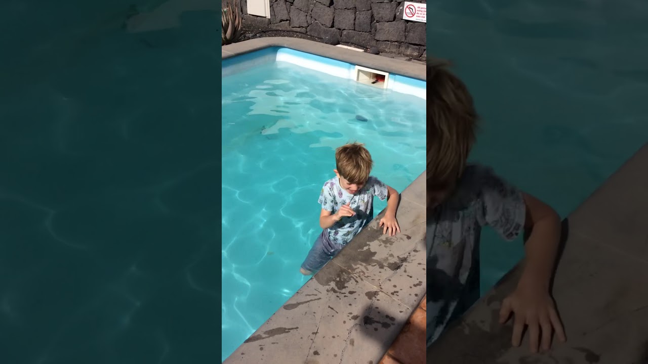 PJ’s in the pool - YouTube