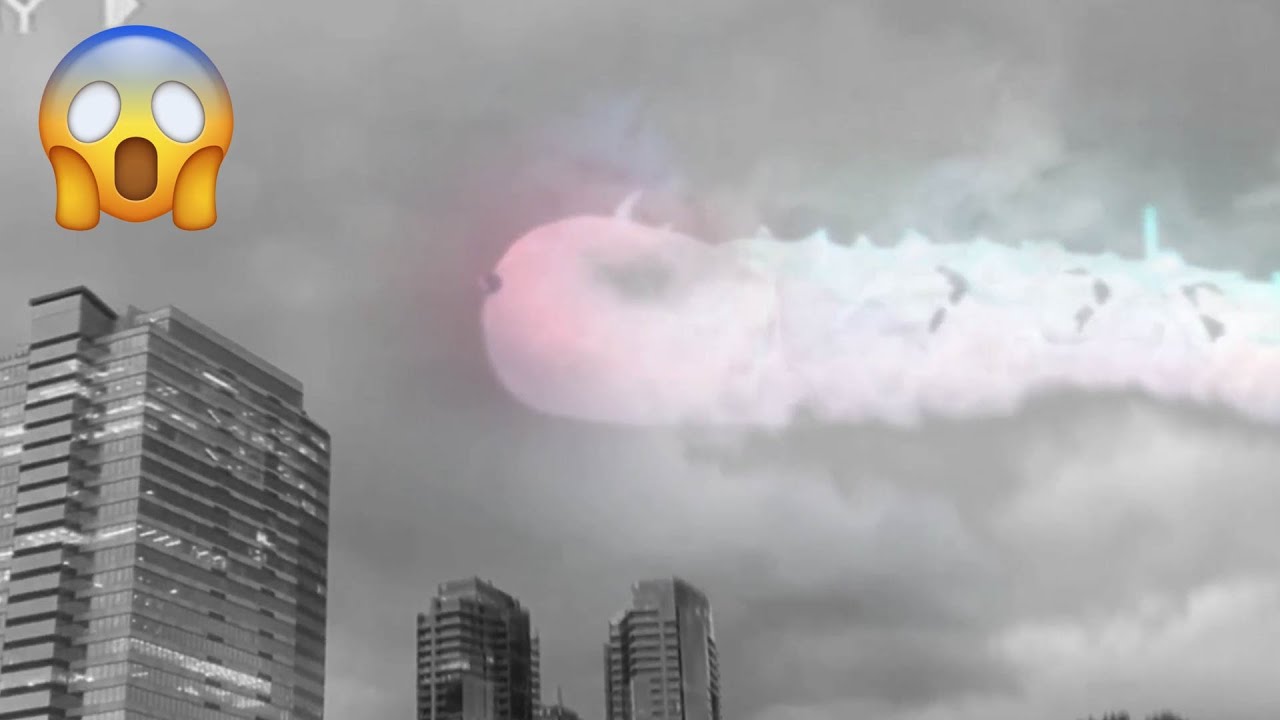 Unknown footage of unknown creature in the Unknown city sky - YouTube