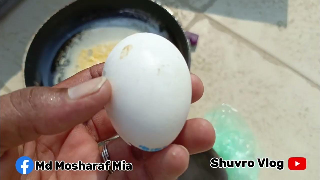 সৌদি আরবের রোদে ডিম ভাড়া দেখুন Shuvro Vlog - YouTube