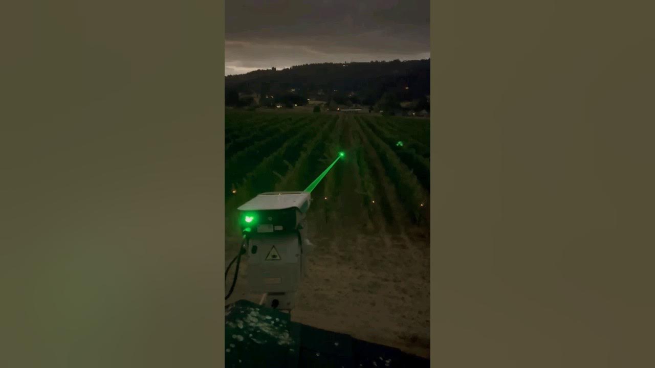 Vineyard Laser Defense ⚡🚨 Using lasers to defend against pesky birds ...