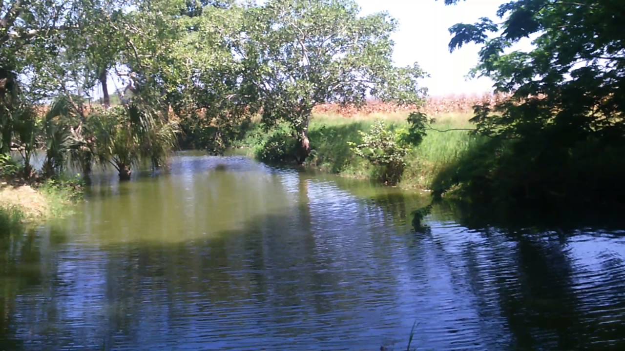 Laguna de Canachi 3 - YouTube