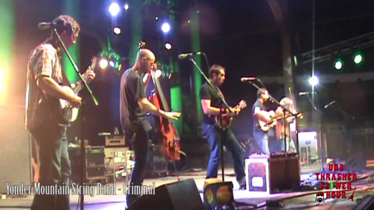 UTFH: Yonder Mountain String Band - Criminal - YouTube