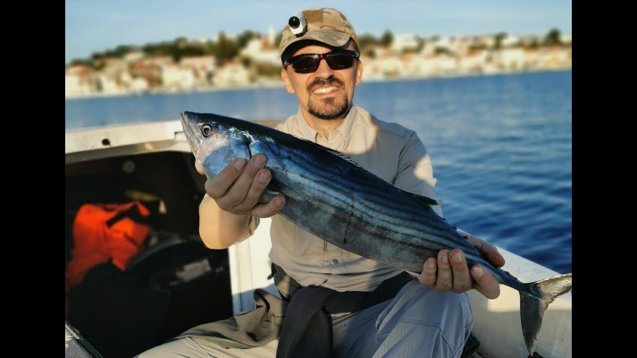Palamida na povrsinca - Bonito feeding frenzy on topwater lure Jack Fin ...