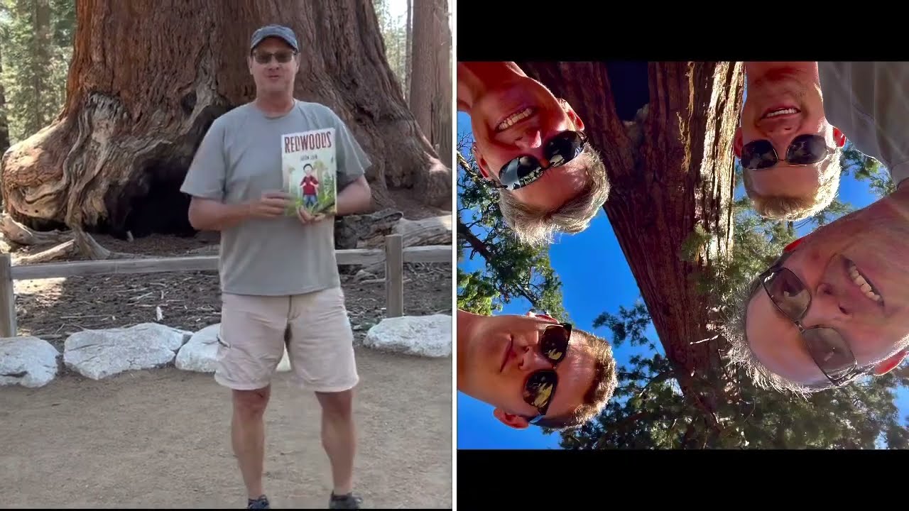 “Redwoods” by Jason Chin, from Yosemite National Park - YouTube