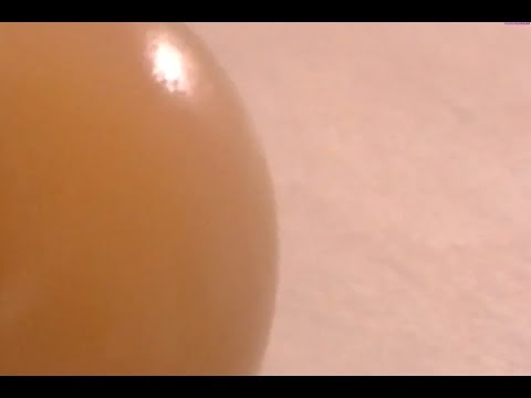 DIY Breasts Implants from eggs