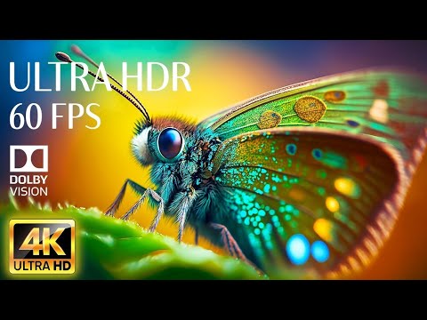 Dolby Vision test 4K HDR 120fps#8k Earth - YouTube