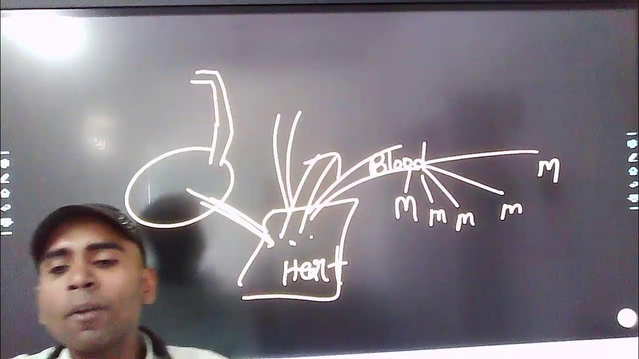 Cell Class 9 YouTube cell-class-9-youtube
