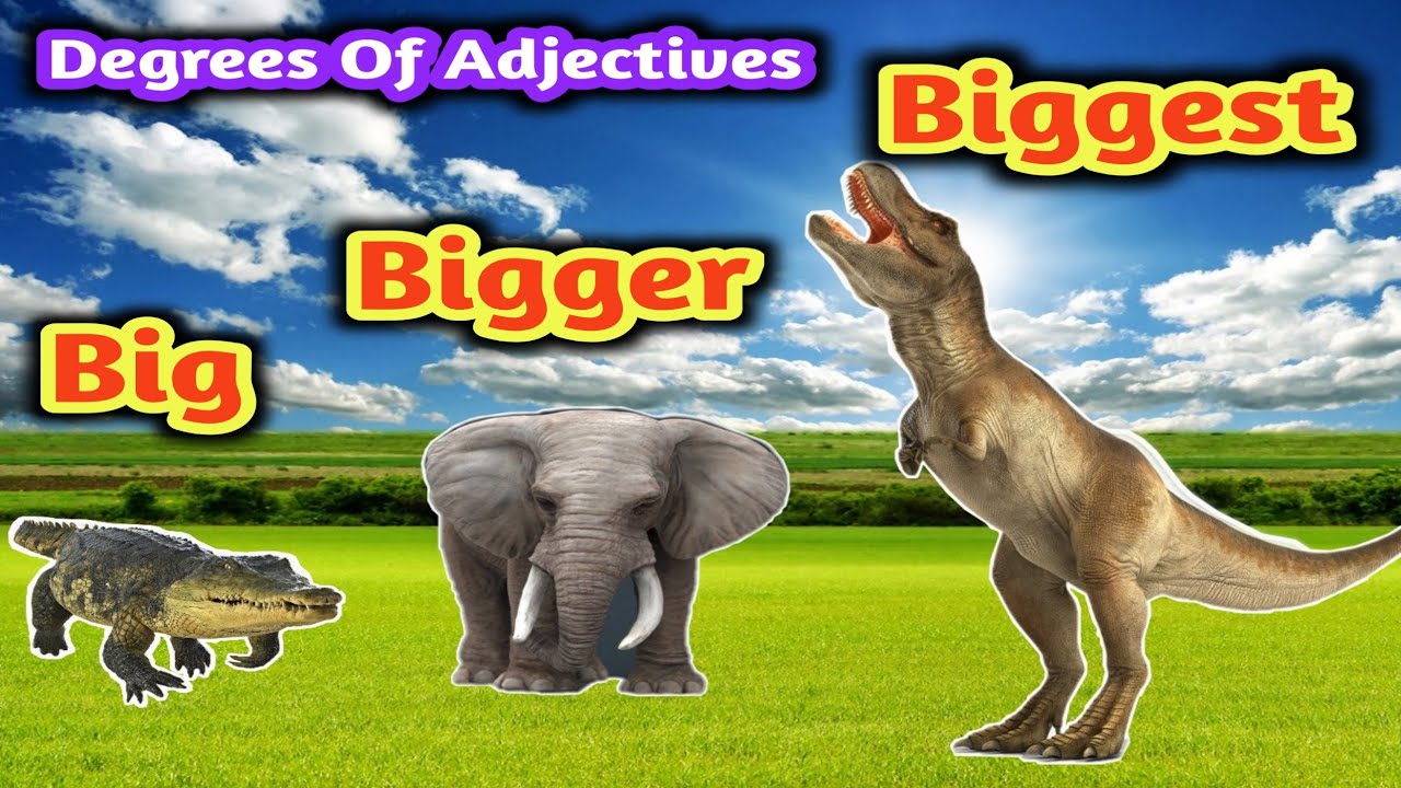 Degrees Of Adjectives | Positive degree | Comparative degree ...