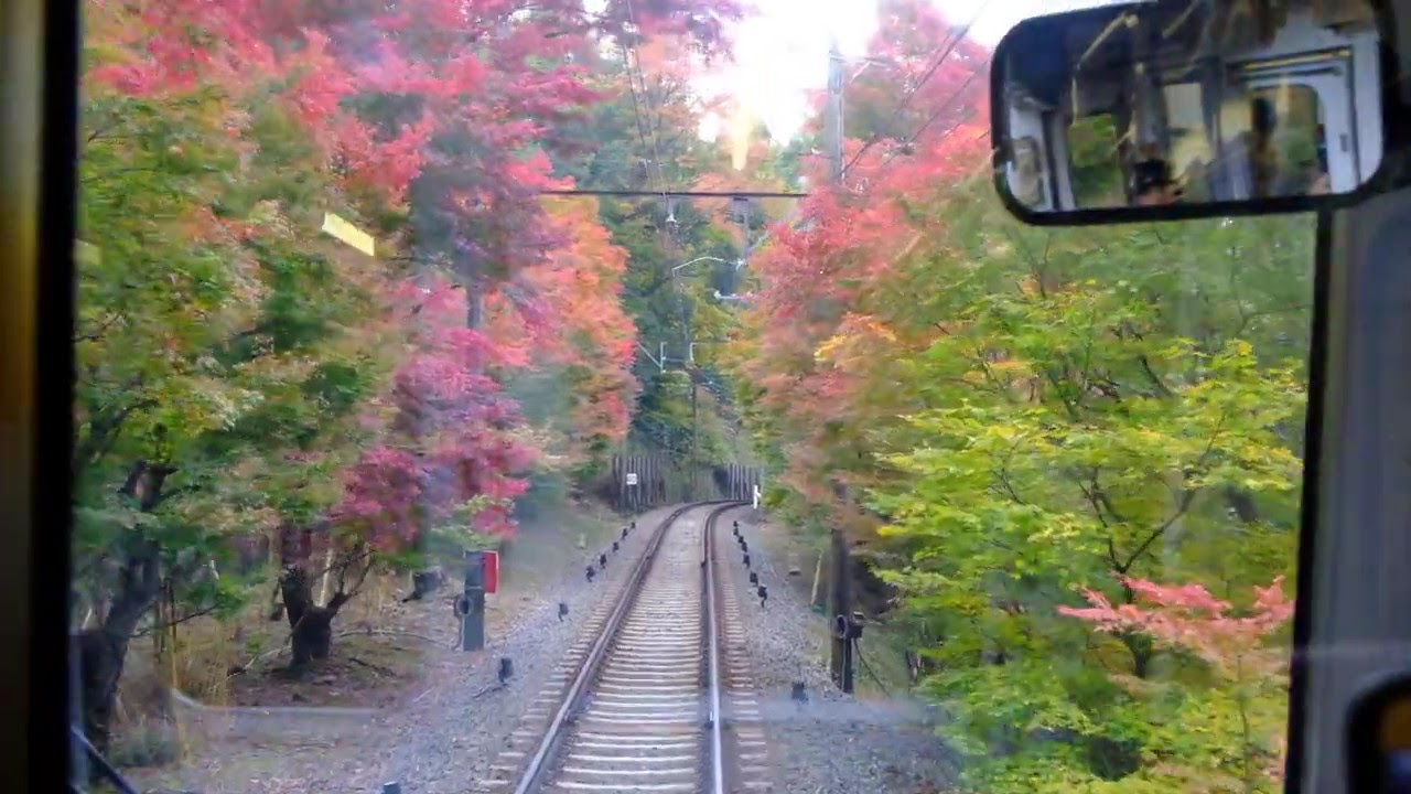 Momiji (Maple Tree) Tunnel in Eizan Railway - YouTube