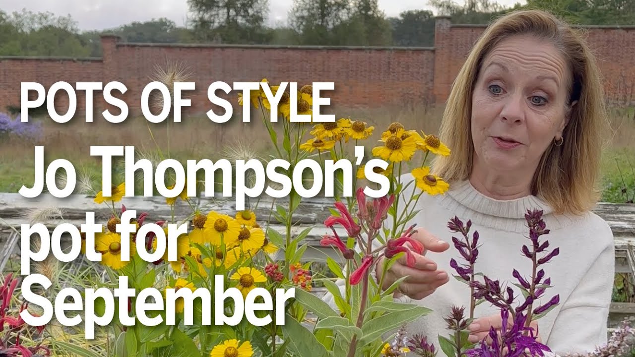 Jo Thompson's beautiful pot display for September - YouTube