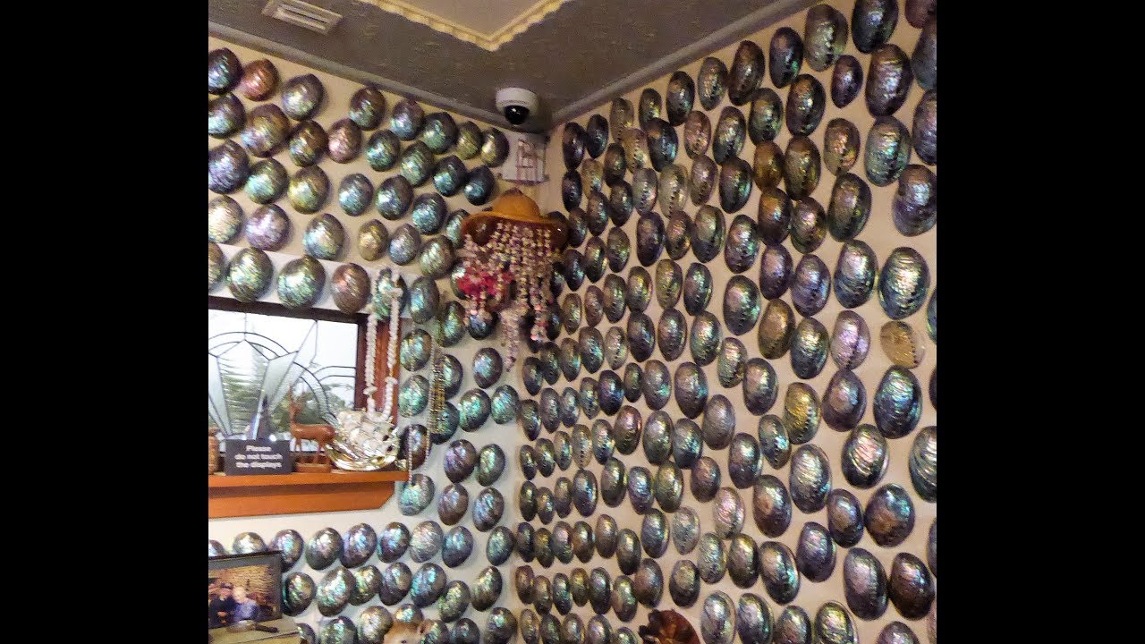 Paua Shell House....Canterbury Museum...Christchurch, New Zealand - YouTube
