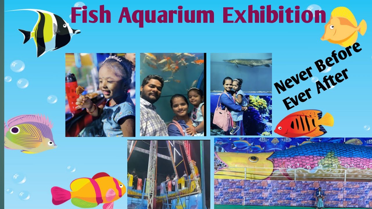 Fish Aquarium Exhibition 🐟🐠 //summer special // joint wheel, breakdance ...
