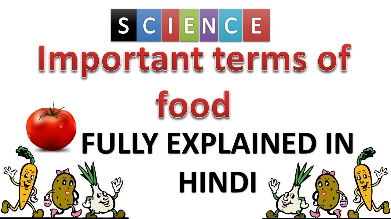 Food where does it come from | Important terms of food | Terms used in ...