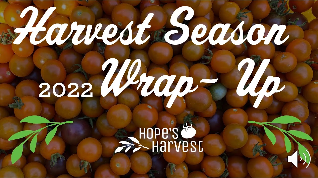 Harvest Season Wrap Up 2022 - YouTube
