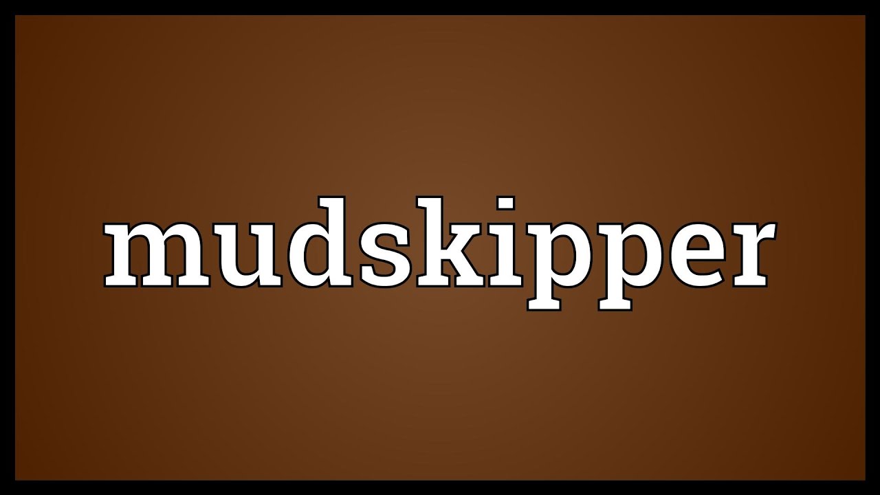 Mudskipper Meaning YouTube mudskipper-meaning-youtube