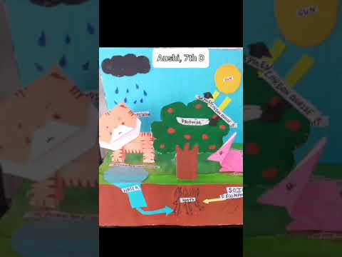Submission of Summer Holiday Homework in R M Public  School