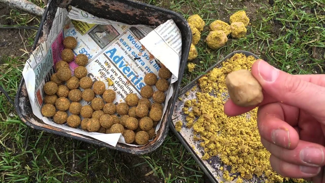 Chub Bait - Cheese Past - Boilies - YouTube