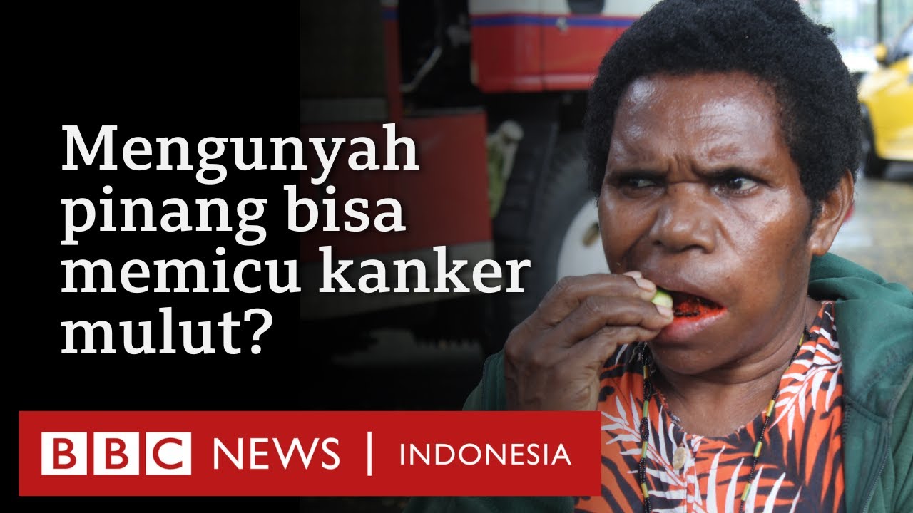 Tradisi makan pinang di Papua, bisa memicu kanker mulut? - BBC News ...