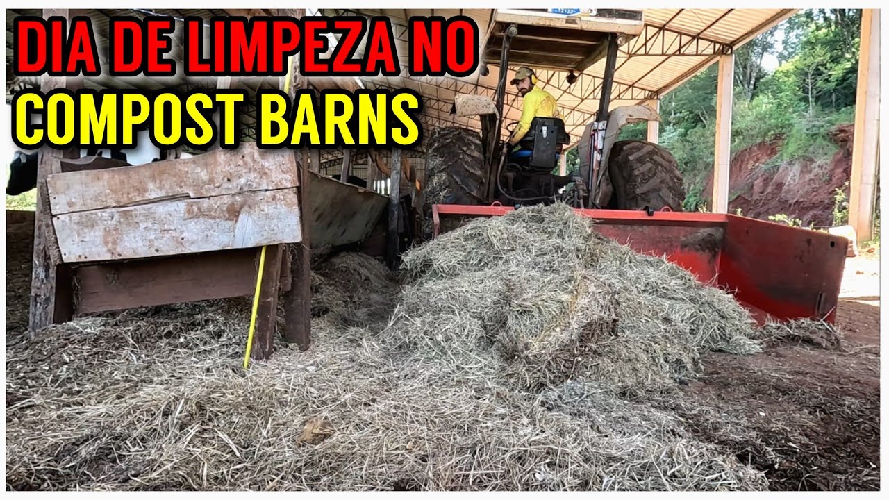 Trabalhando no COMPOST BARNS (Limpando a bagunça das vacas) - YouTube