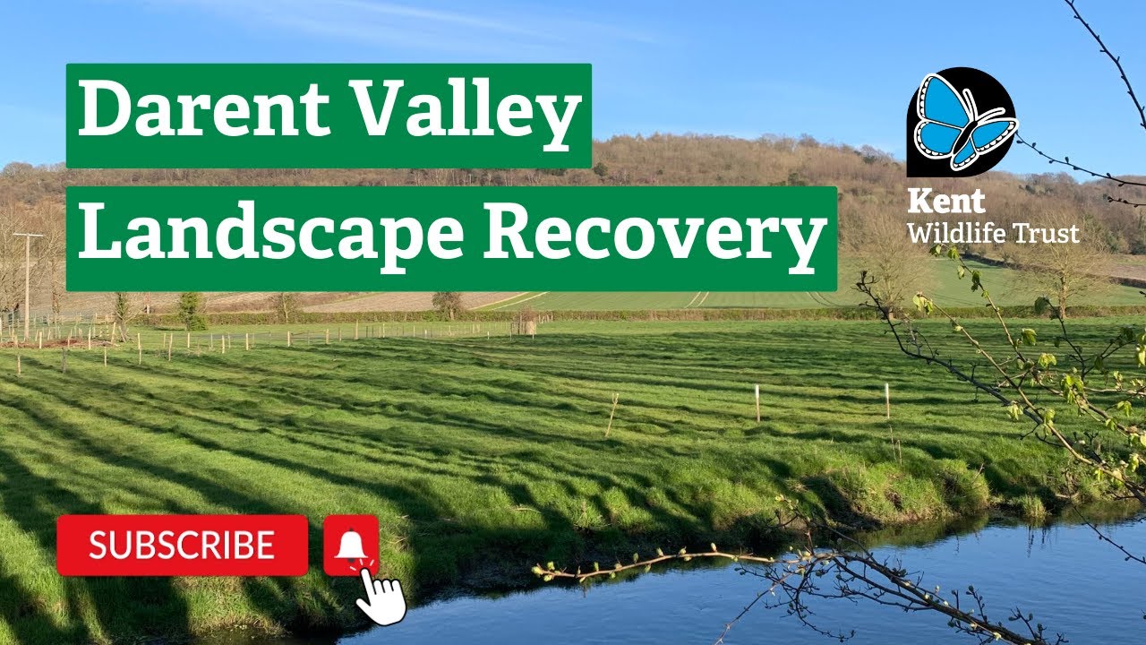 The Darent Valley Landscape Recovery Project | An Introduction - YouTube