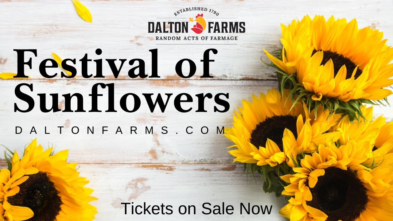 Two Bridges at Dalton Farms - YouTube