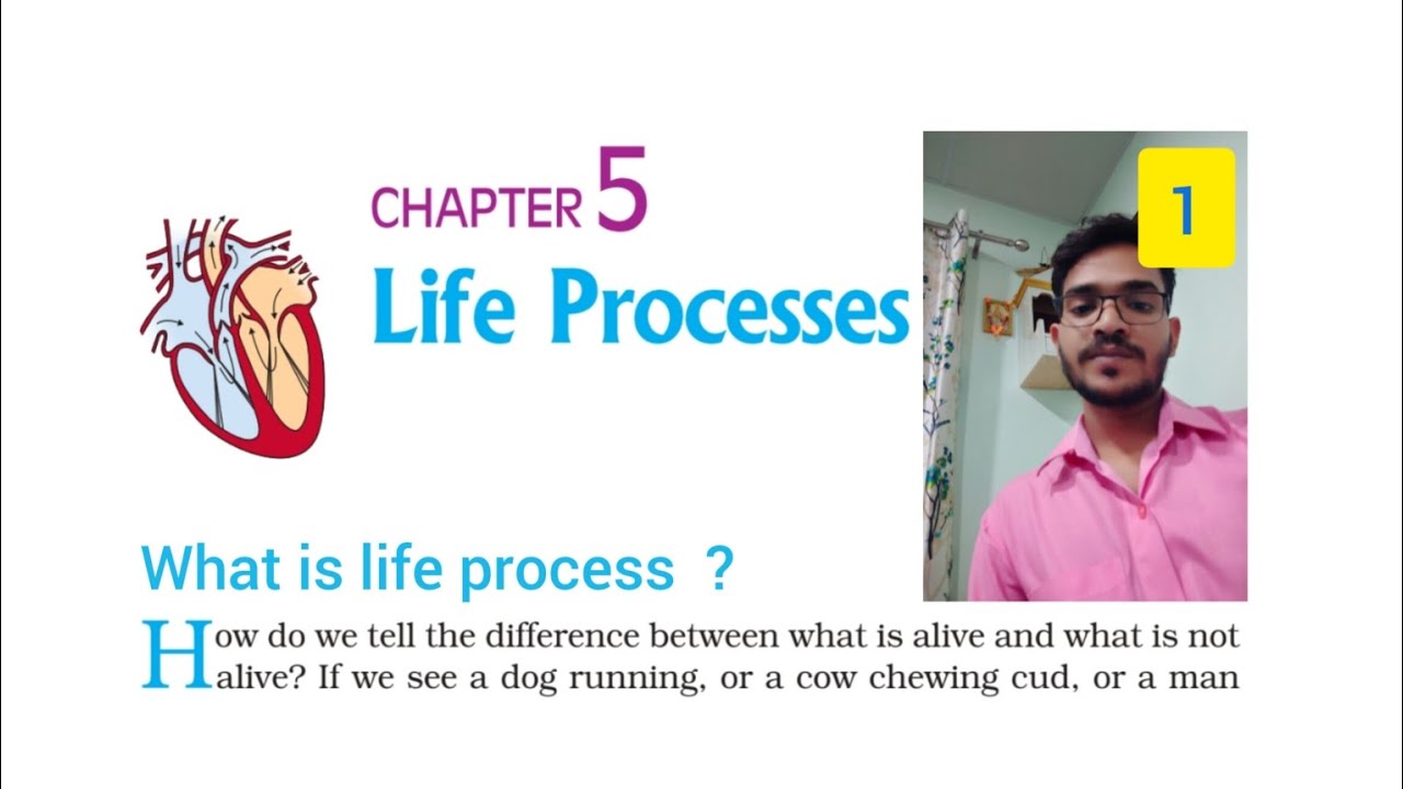 what is life process || class 10 life process@thezenithsudhir - YouTube