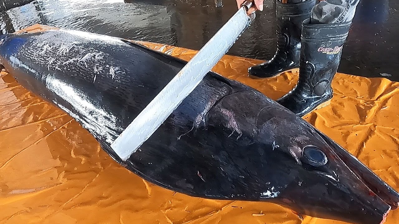 The fastest and smoothest swordfish cutting skills - YouTube