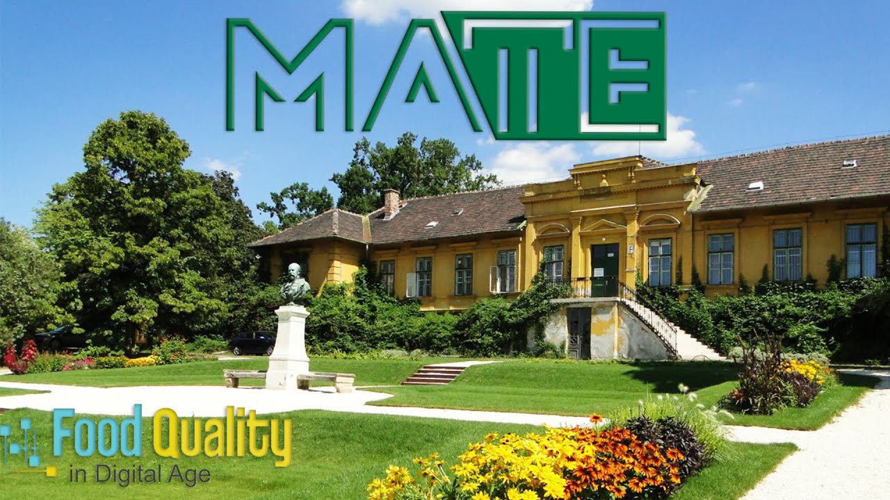 Food Quality in Digital Age - MATE, 2023 - YouTube