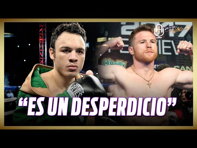 Memes Pelea Canelo Chavez Canelo Alvarez: A Journey Through Mexican