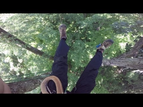 Traversing tree to tree using a single throwline & grapnel - Sugar ...