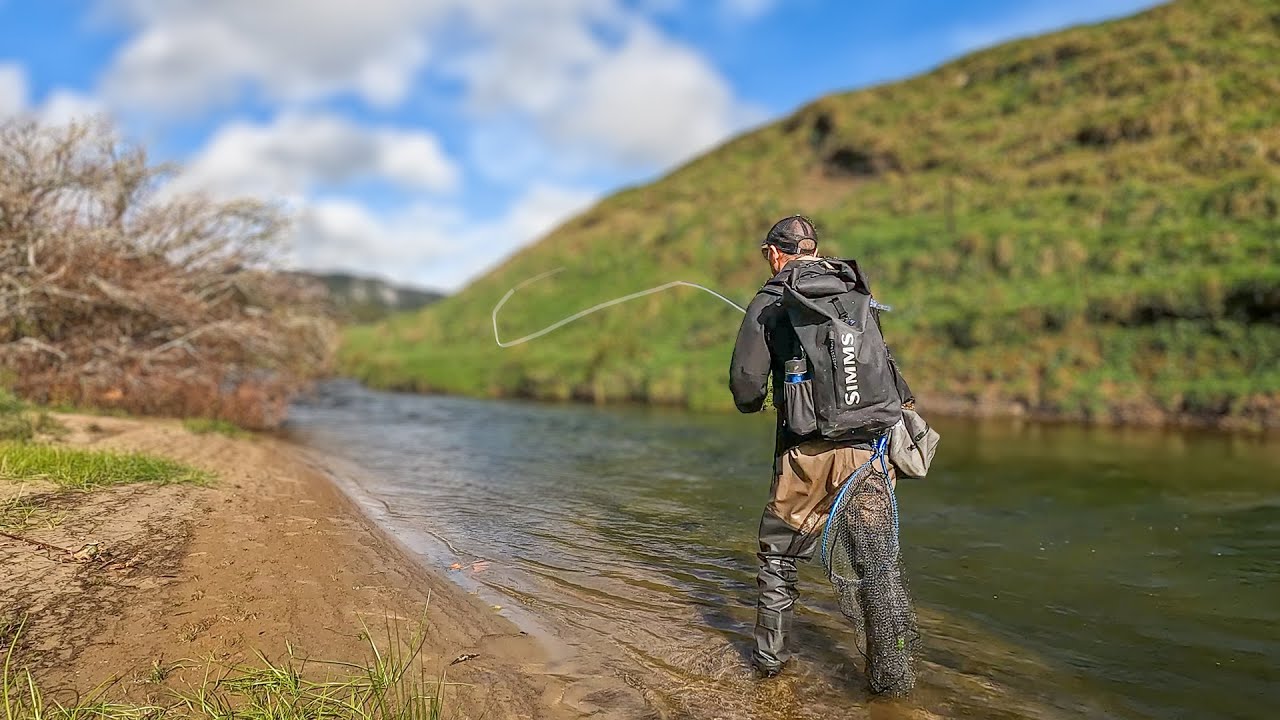 Fly Fishing a Stunning Stream with Plentiful Trout, Big and Small - YouTube