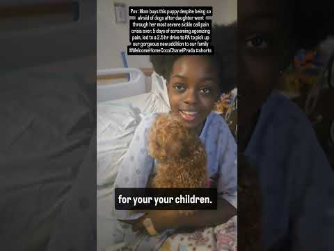 Mom surprised Gigi with a beautiful Puppy. #minigoldendoodles #trending ...