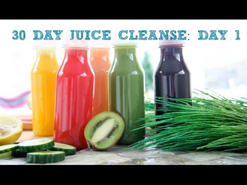 My 30 Day Juice Cleanse: Day 1 - YouTube