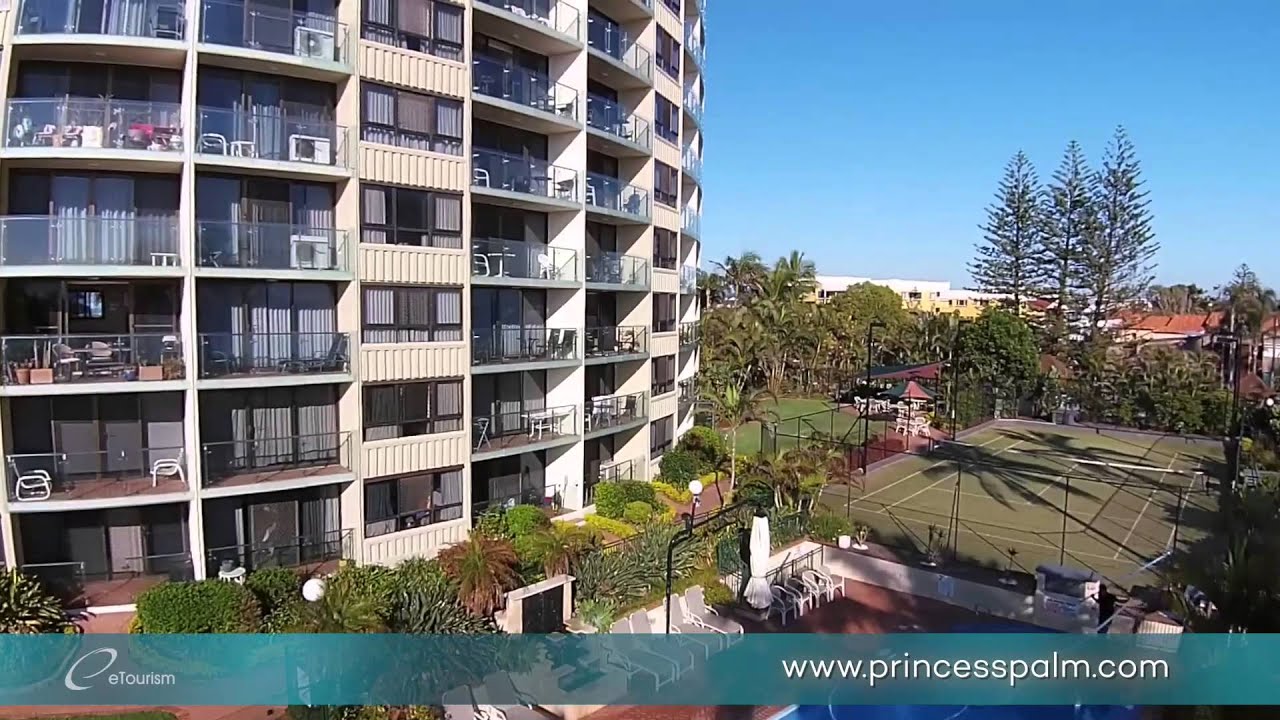 Princess Palm on the Beach - YouTube