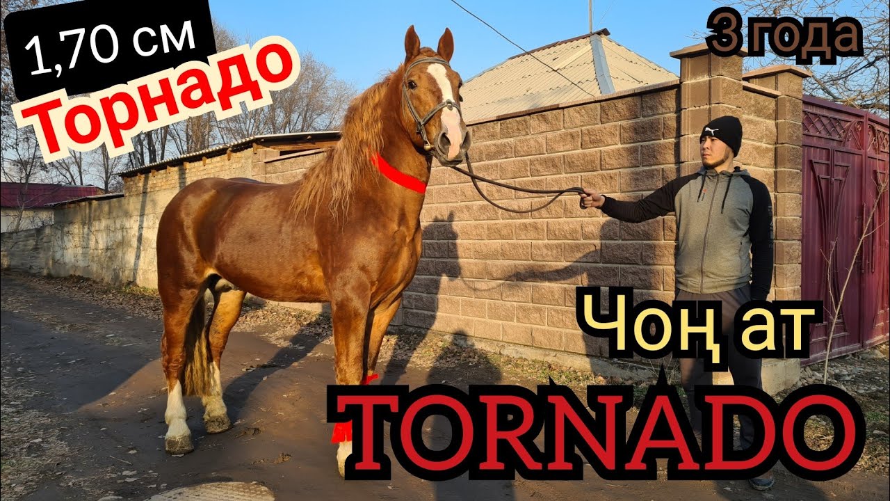 ТОРНАДО 170 - YouTube