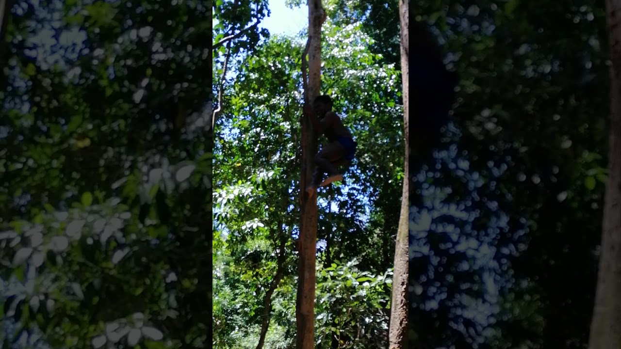 The art of native dancing #aeta - YouTube