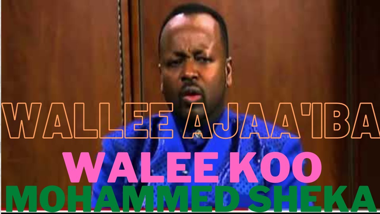 Mohammed Sheka - Walee Koo | Oromo Music - YouTube