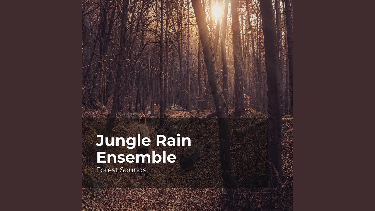 Pathless Forest Jungle - YouTube
