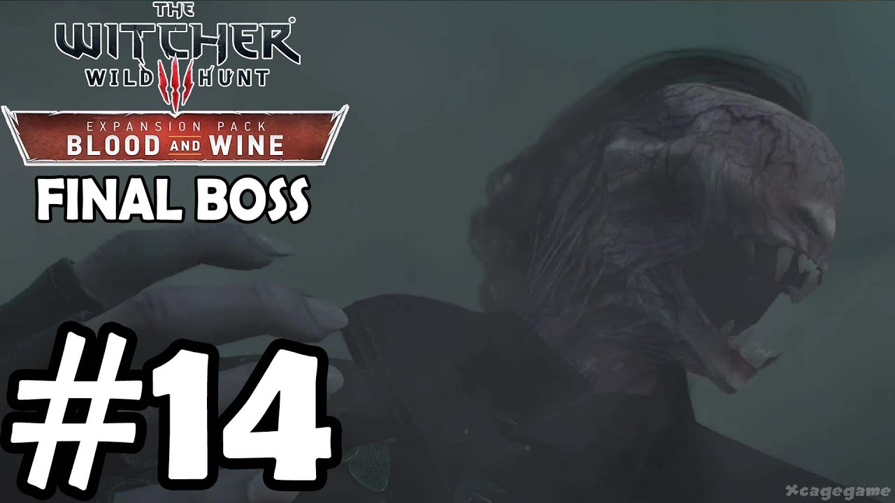 The Witcher 3: Blood and Wine - FINAL BOSS Gameplay Walkthrough Part 14 ...