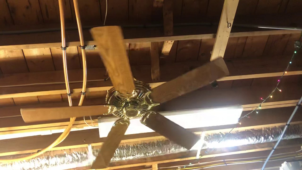 Fan Collector News - YouTube