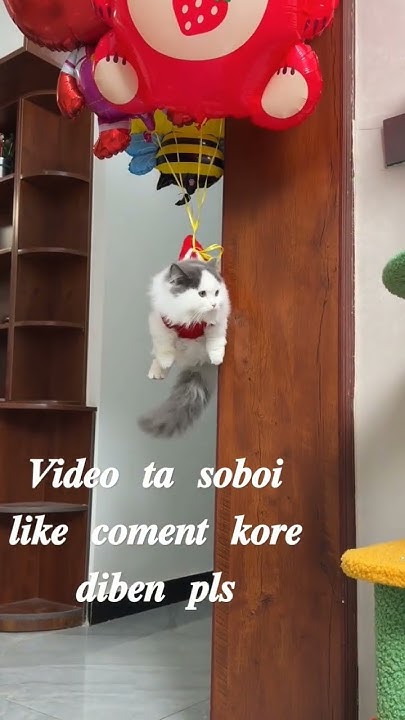 𝑶𝒏𝒌 𝒔𝒖𝒏𝒅𝒐𝒓 𝒗𝒊𝒅𝒆𝒐 𝒕𝒂 - YouTube