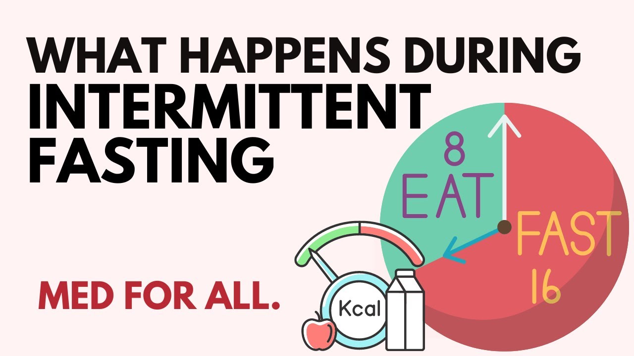 Why Intermittent Fasting Works: 4 Phases of Benefits (2024) - YouTube