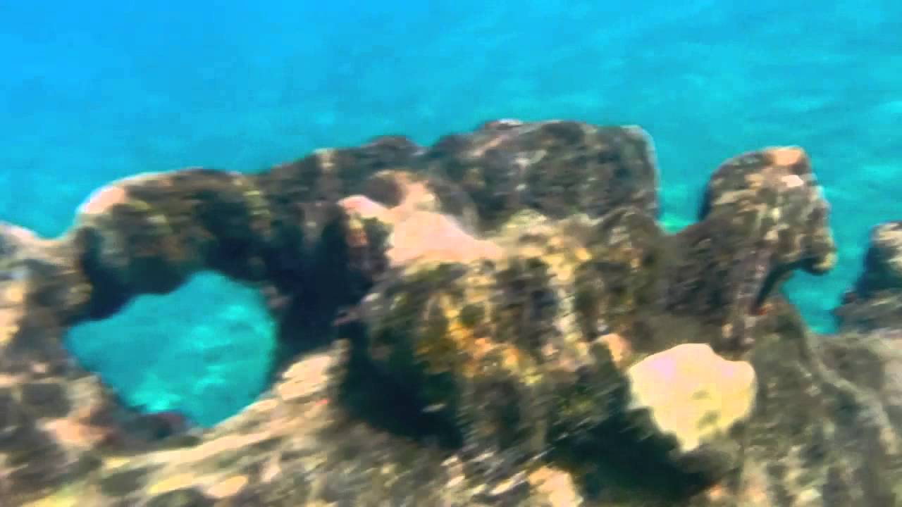Sea Hamster's Snorkeling View - YouTube