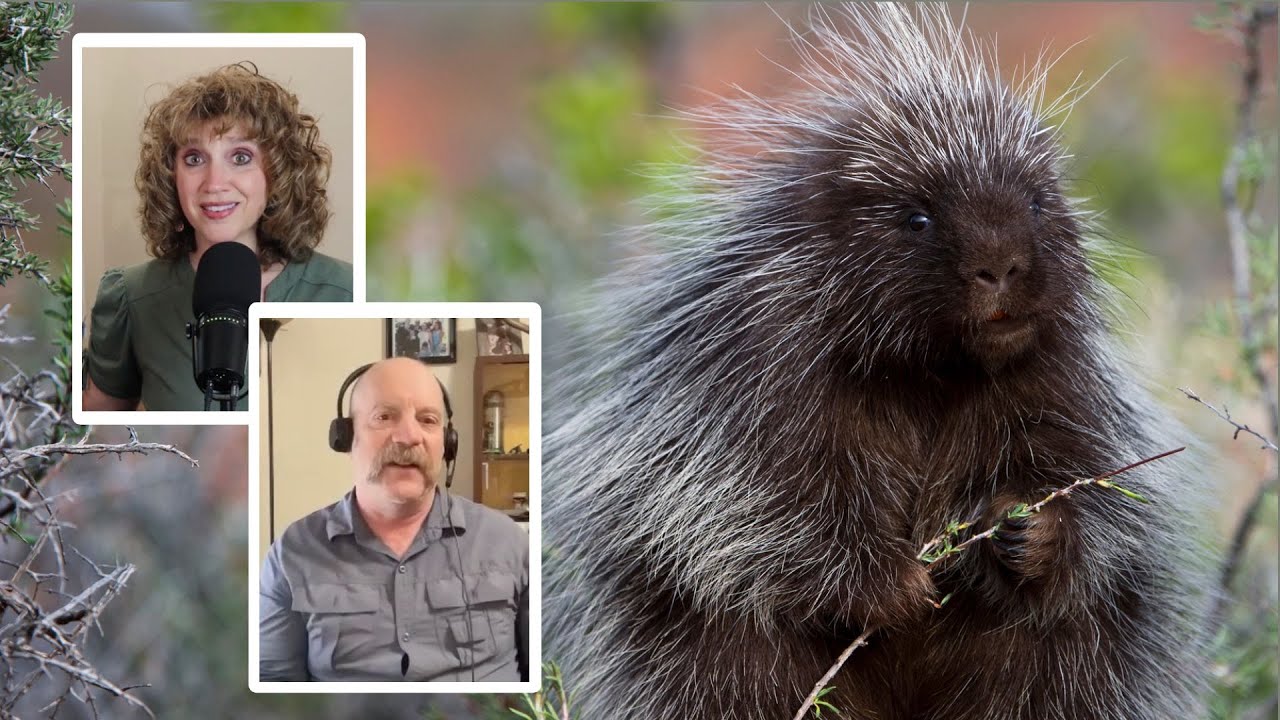 Cowboy State Daily Video News: Monday, June 10, 2024 - YouTube